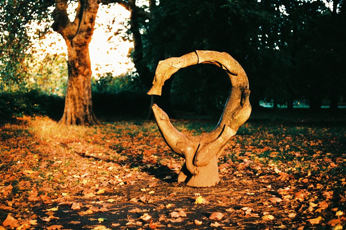 Phoenix | Harman Photo