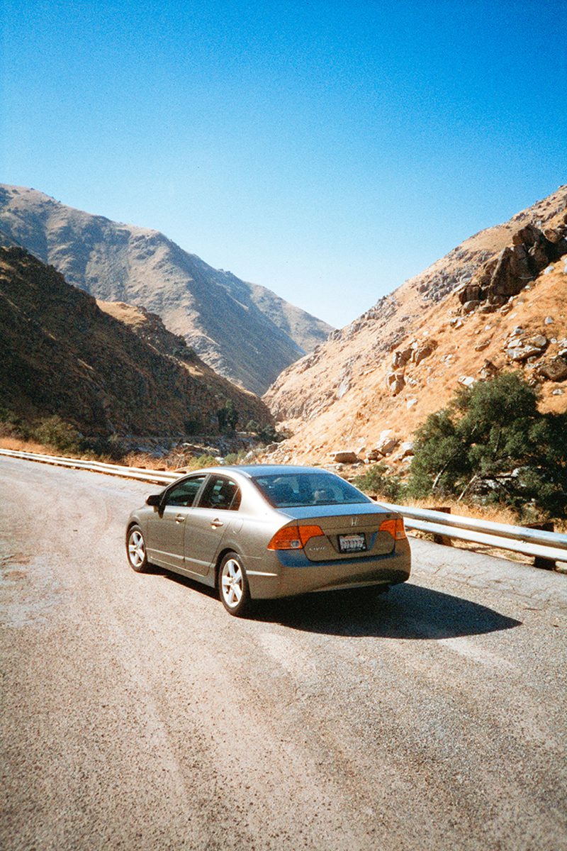 Phoenix | Harman Photo