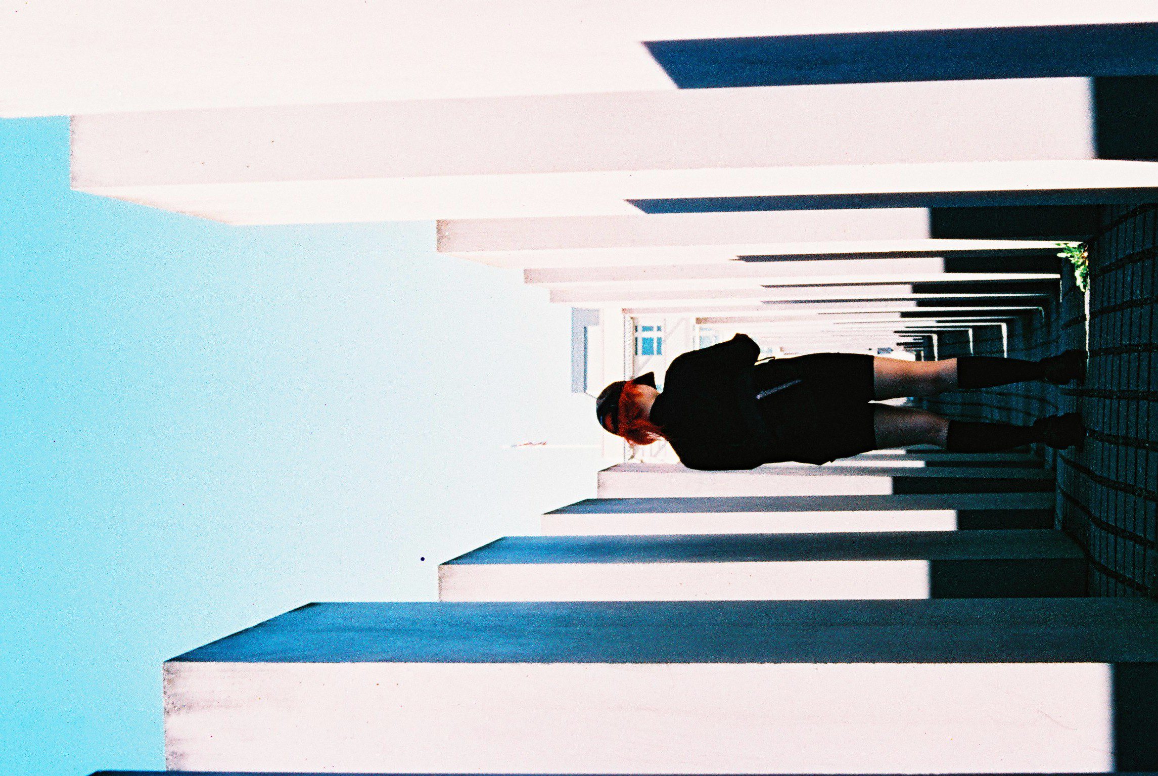 Phoenix | Harman Photo