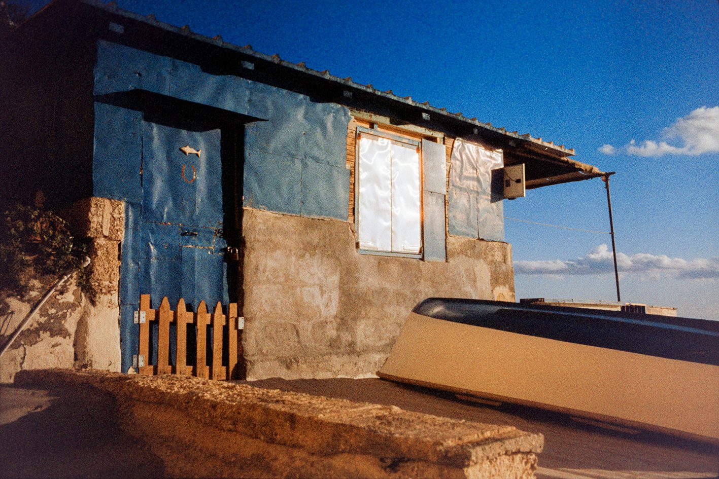 Phoenix | Harman Photo