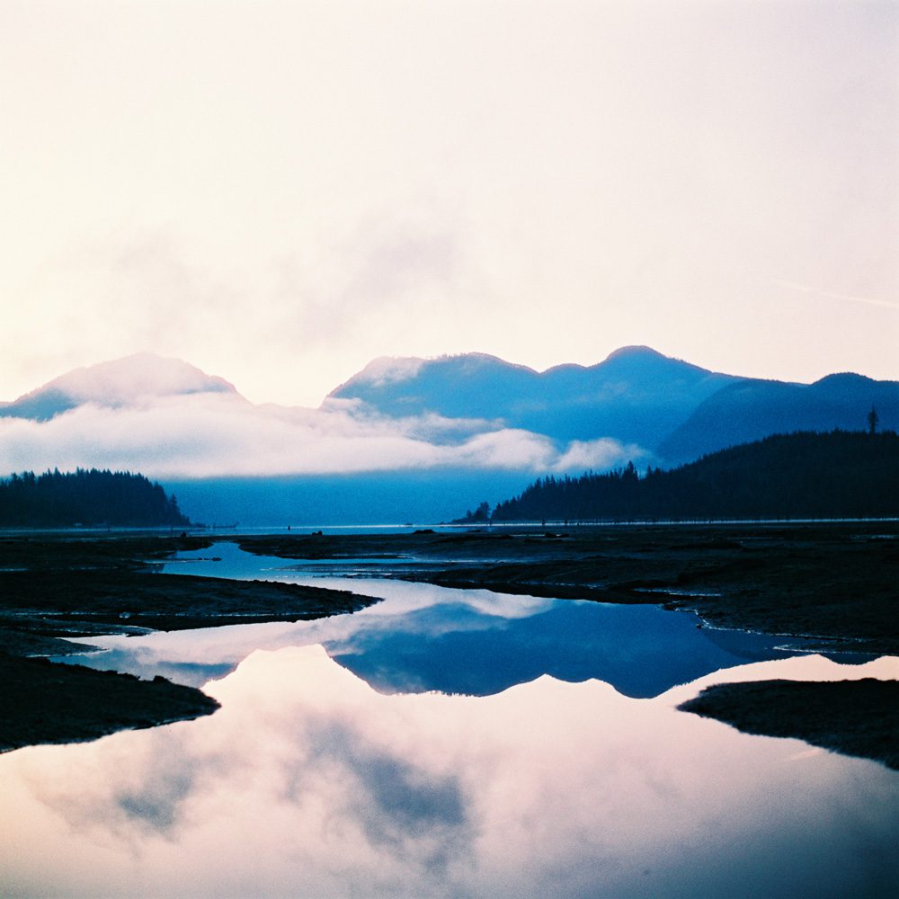 Phoenix | Harman Photo