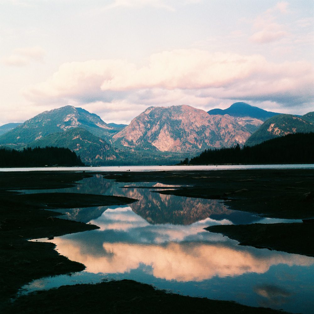 Phoenix | Harman Photo