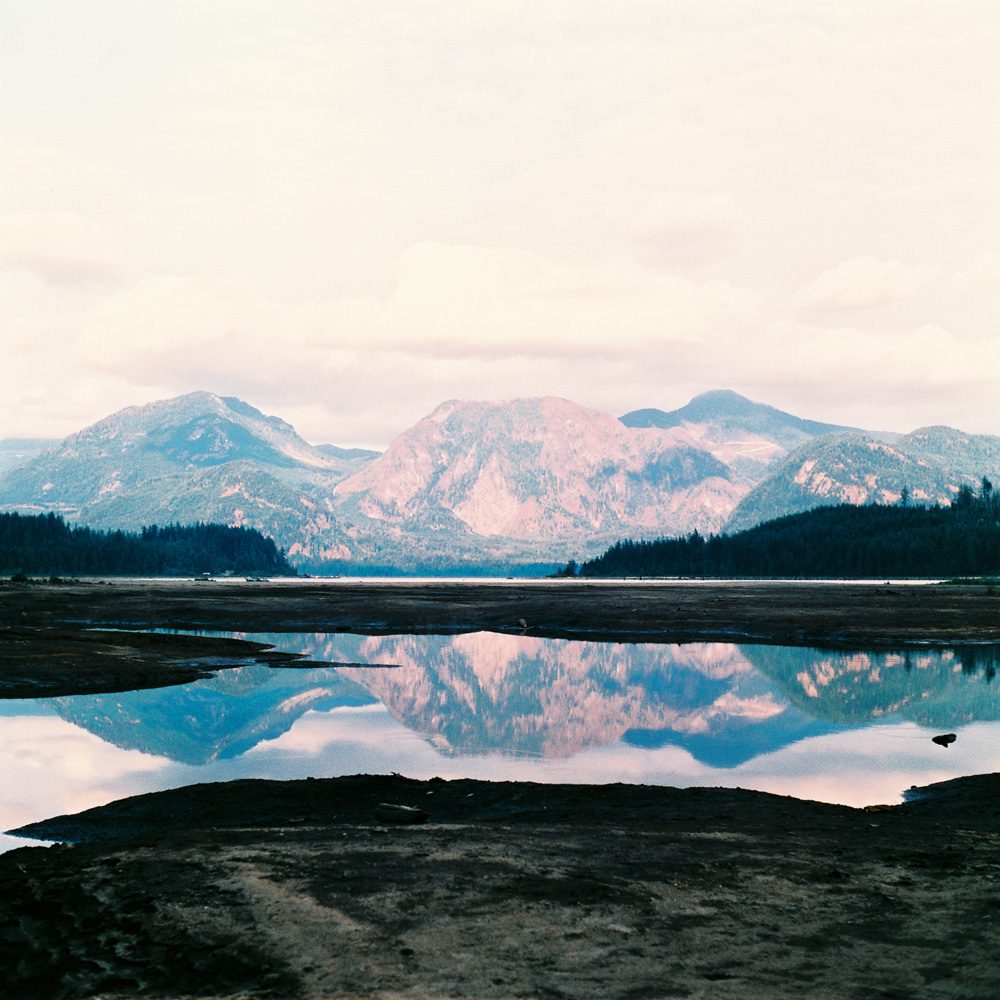 Phoenix | Harman Photo