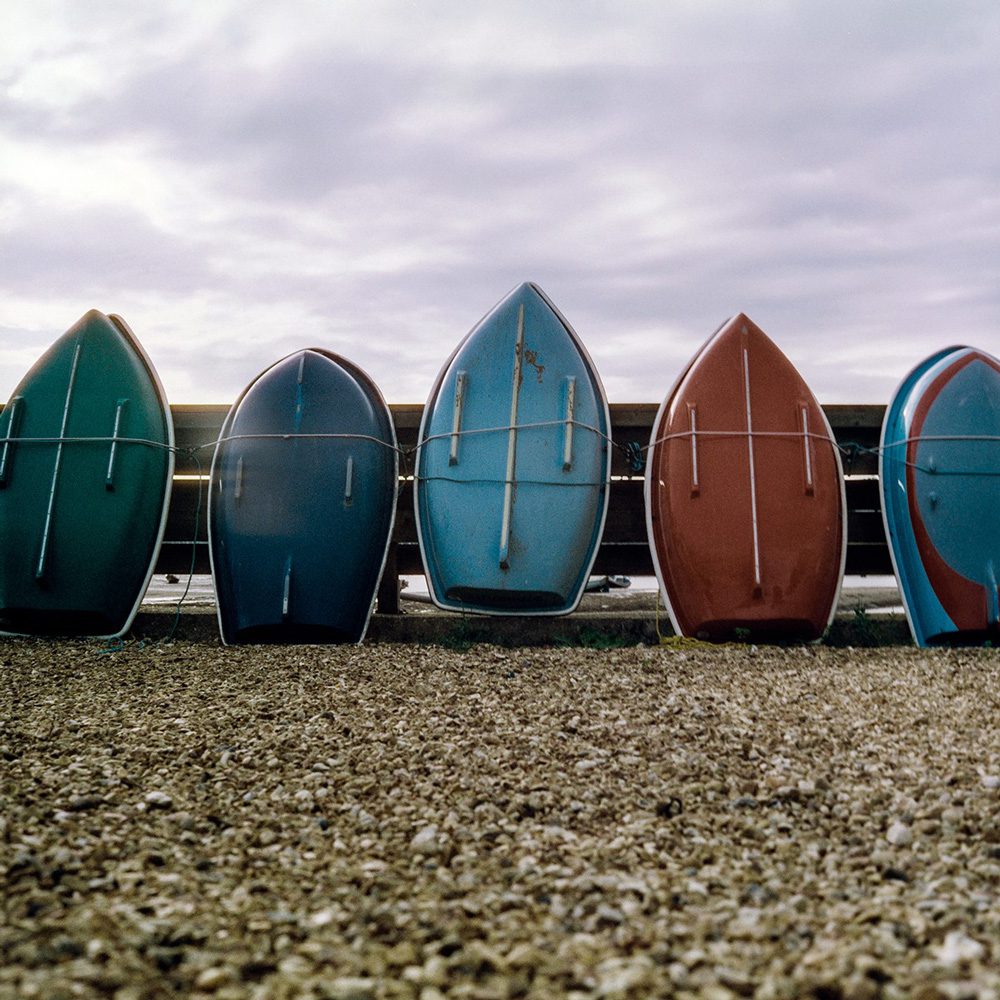 Phoenix | Harman Photo